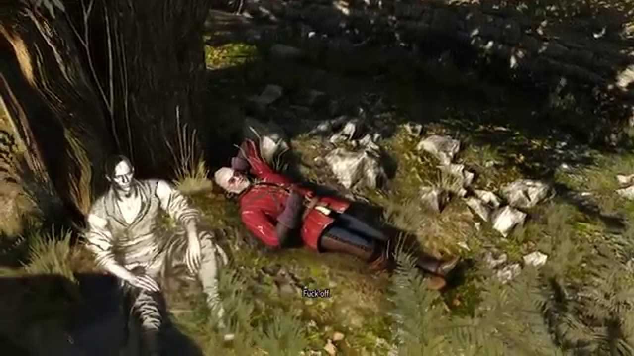 The Witcher 3 - "This is very romantic" - YouTube