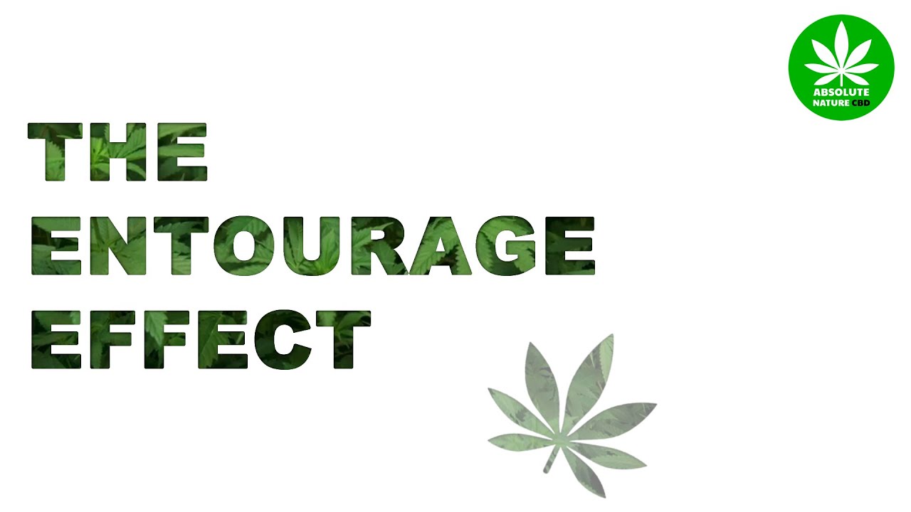 The Entourage Effect of whole-plant full-spectrum CBD - What is the ...