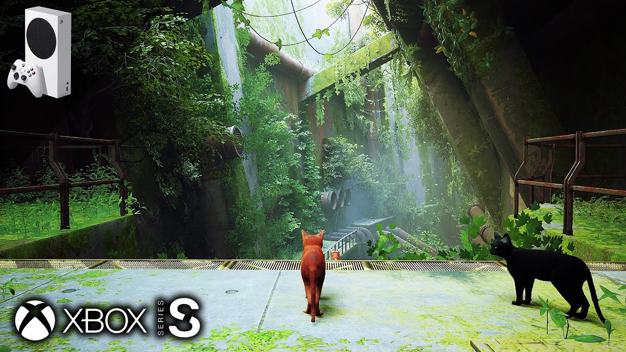 Stray - Xbox Series S Gameplay - YouTube