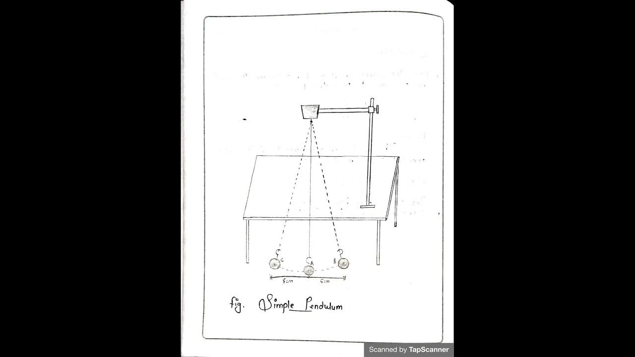 Physics practical class11 | Using Pendulum plot L-T and L-T^2 Graphs - YouTube