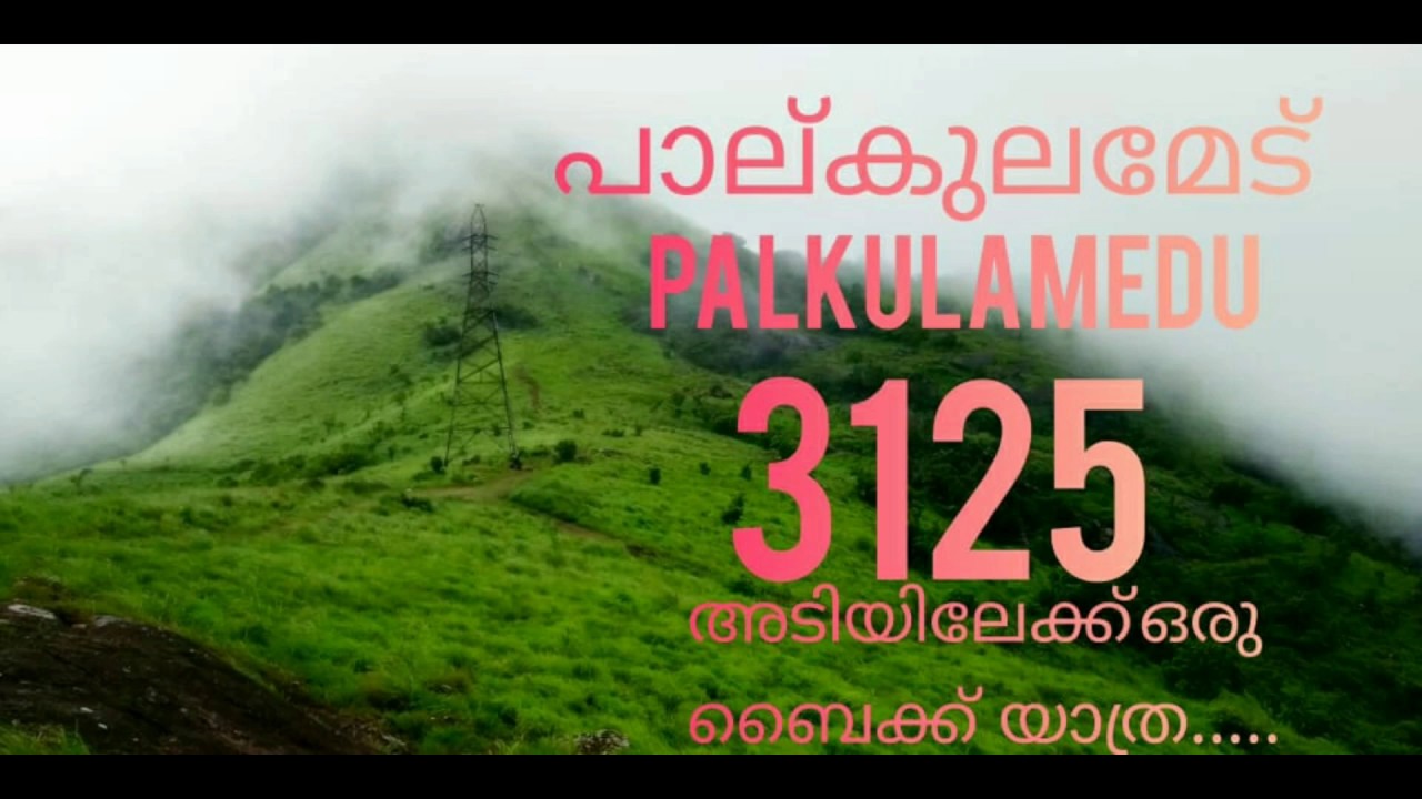 PALKULAMEDU | EXTREME OFF ROAD BIKE SAFARI | IDUKKI VLOG | #INTRO - YouTube