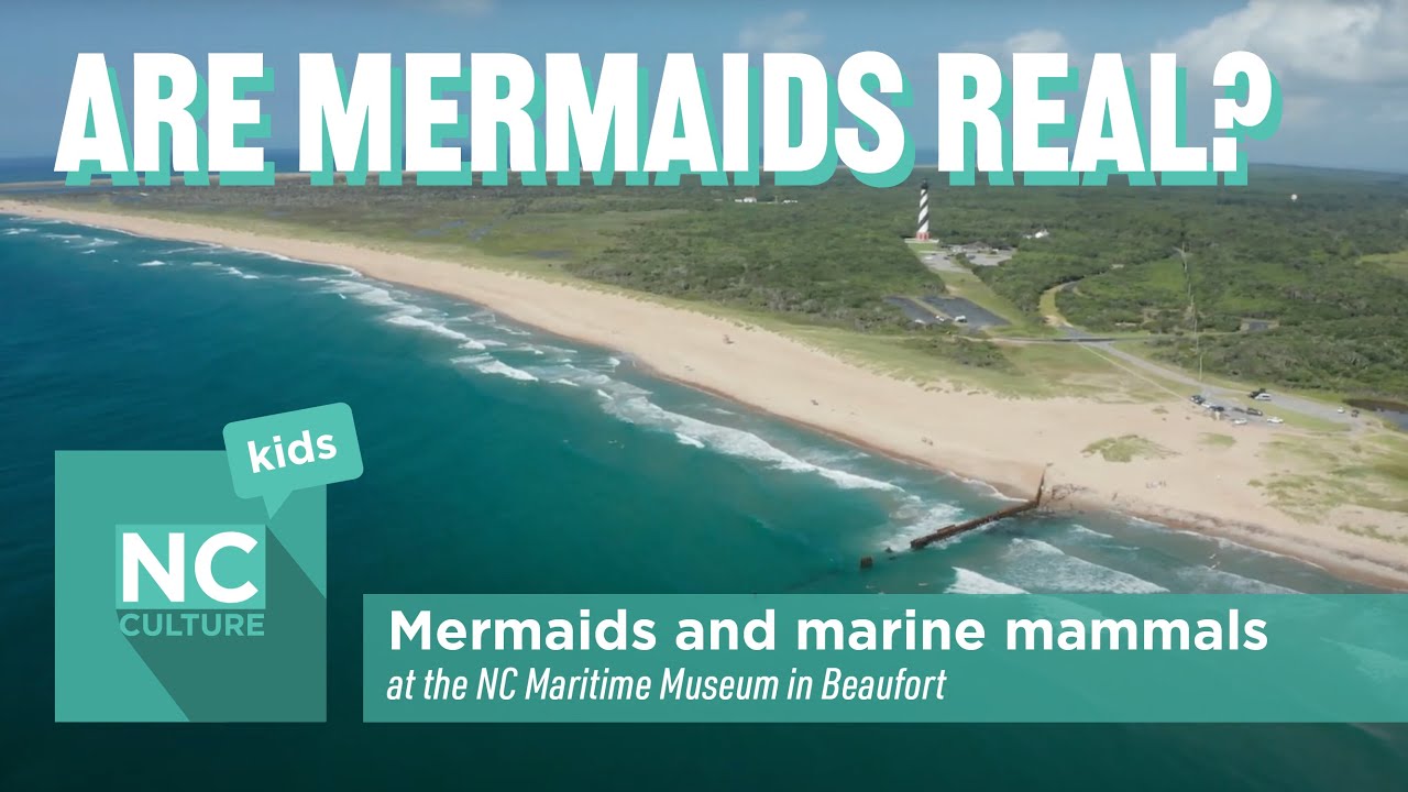 Are Mermaids Real? Mermaids and Marine Mammals at NC Maritime Museum in ...