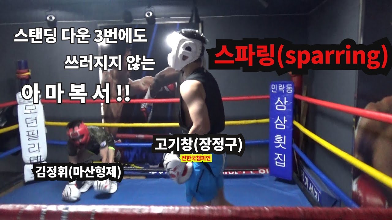 스탠딩 다운 3번에도 쓰러지지 않은 아마복서와 한국챔피언 스파링 복싱 권투 스파링 아마복서 프로복서 복싱연타