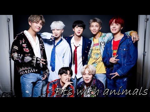 BTS With Animals - YouTube
