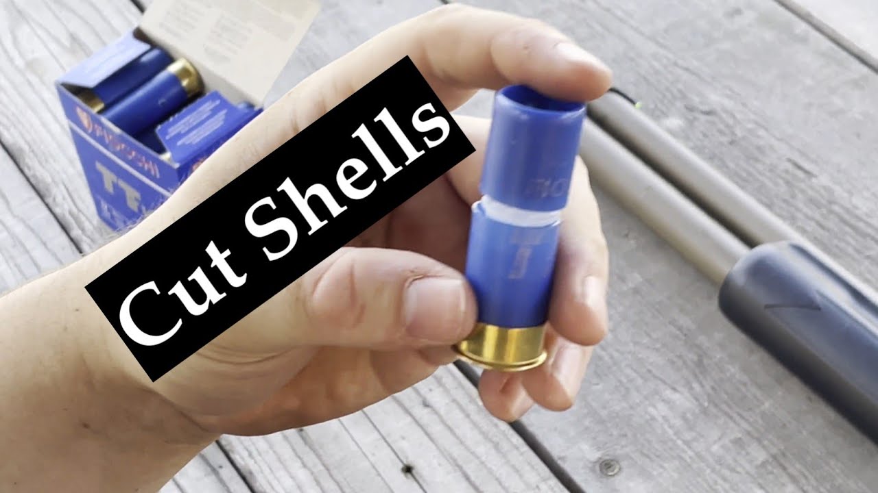 Cut Shells - cosa c'è di vero? - YouTube