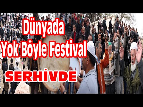 Dünyanın Hiçbir Yerinde Böyle Bir Festival Yok -- Serhivde- Murat Şenlikleri- FARQÎN