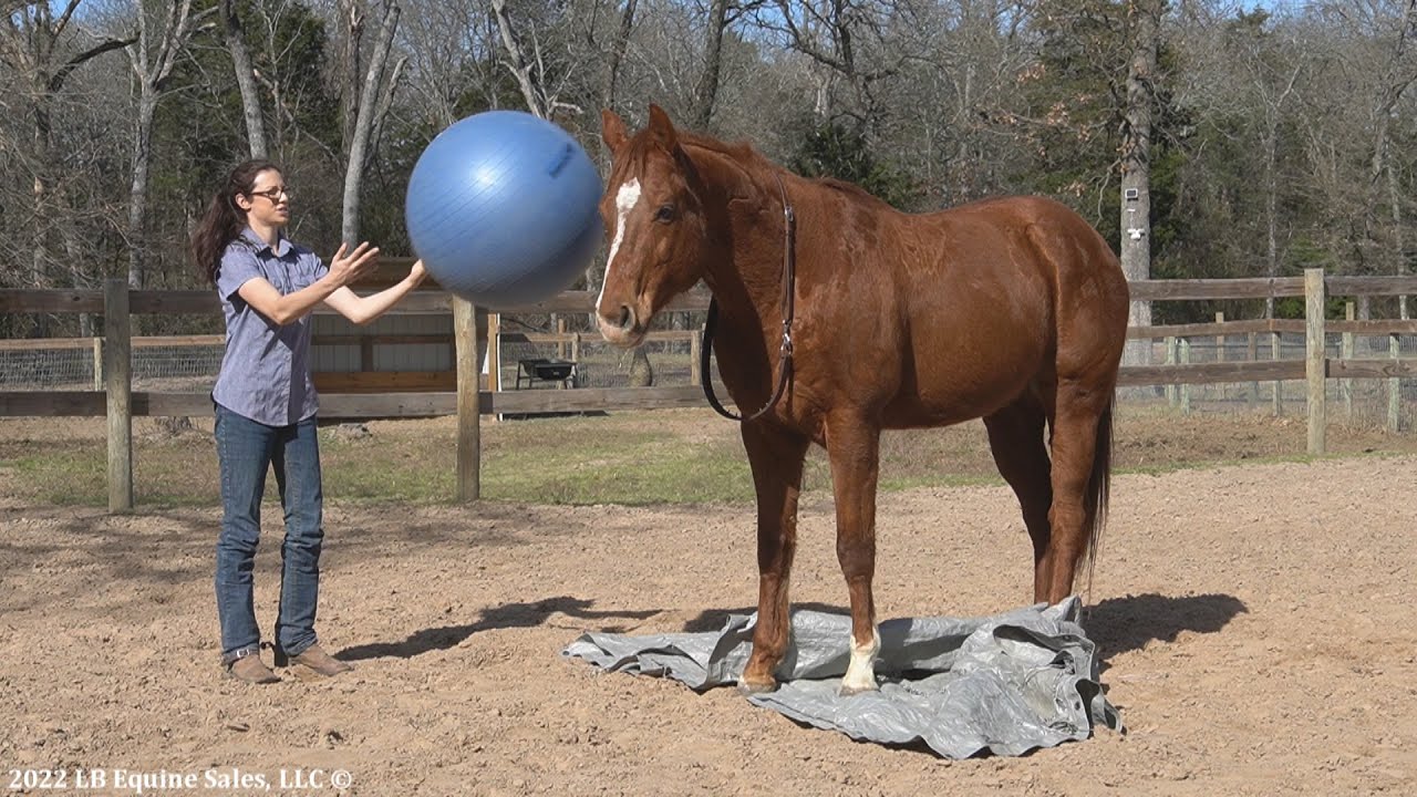 "Good Western Movie" Tarps + Bouncy Ball - SOLD overnight! - YouTube