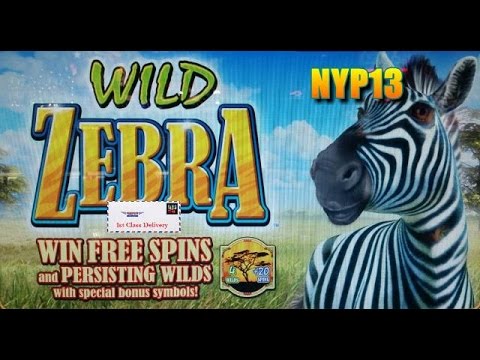 ☆NEW DELIVERY☆ WMS - Wild Zebra Slot MAX BET Bonus WIN - YouTube