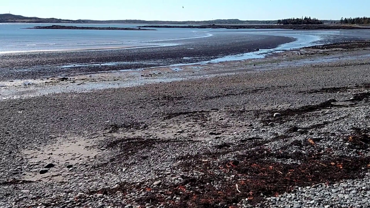 Looking across the Quoddy Narrows from Liberty Point at Low Tide - YouTube