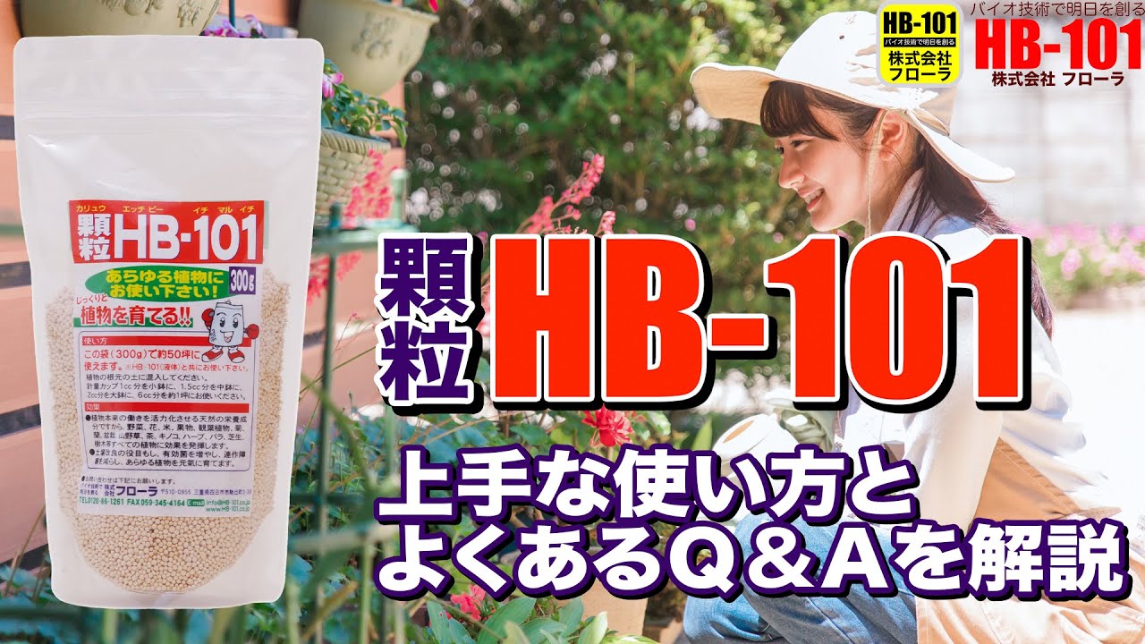 顆粒HB-101の上手な使い方とよくあるQ&Aを解説します - YouTube