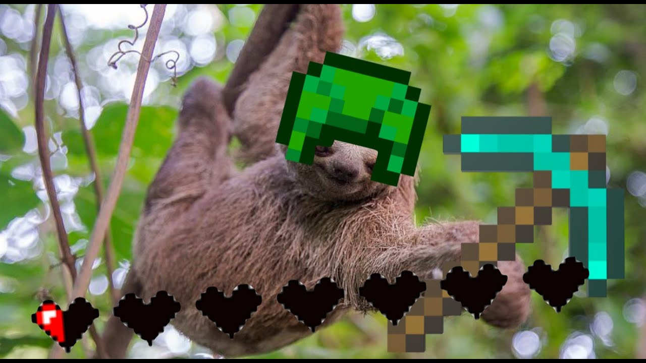 Building a Sloth in Minecraft! - YouTube