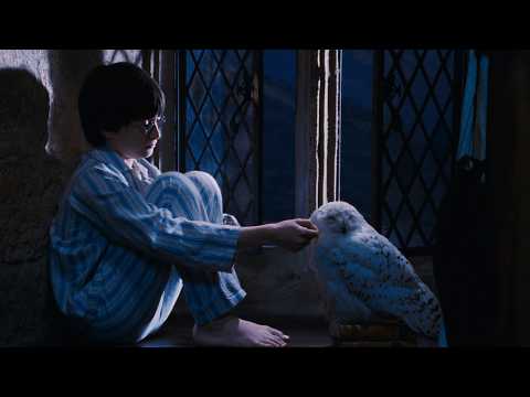 Harry's First Night at Hogwarts | Full Scene | Harry Potter and the Philosopher's Stone