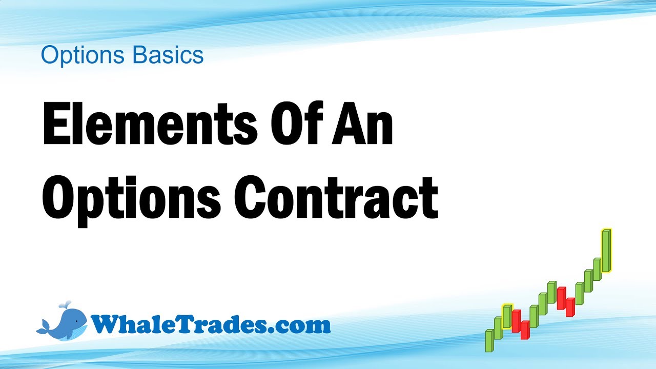 Options Basics 003 - Elements Of An Options Contract - YouTube