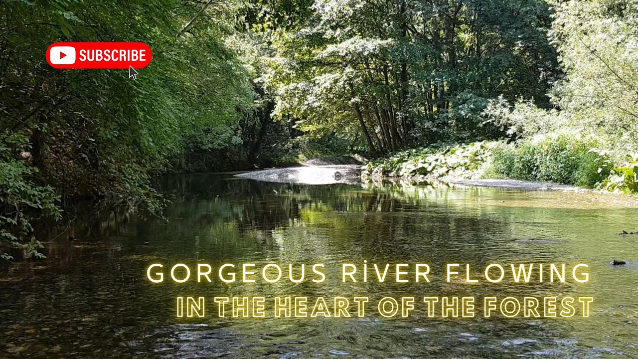 River Flowing Sound - Green Forest River - Nature Sounds, Forest River ...