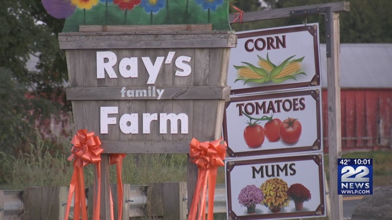 Ray's Family Farm in Southwick pays tribute to The Big E - YouTube