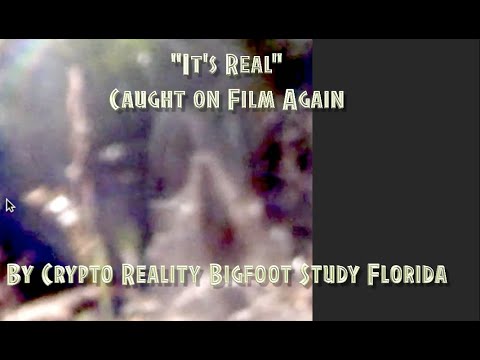 Close up Look At A Legend- Excellent Footage of Real Florida Skunk Apes and What Tries to Hide ...