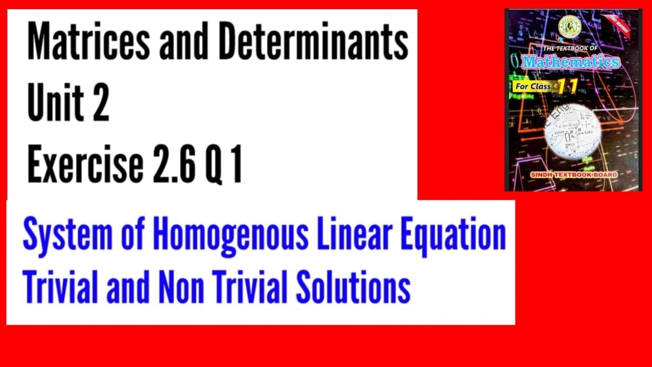 Exercise 2.6 Class 11 maths | Trivial and Non Trivial Solutions of ...