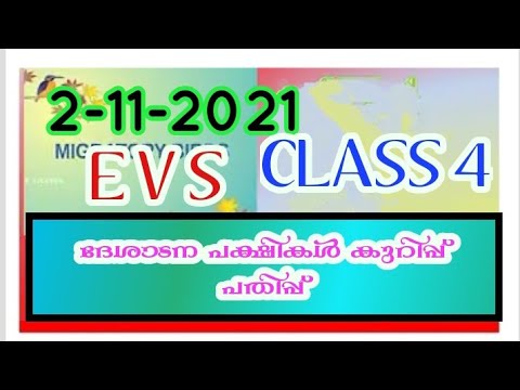 Class 4 EVS Worksheet Nov 2/4 th std Evs worksheet 2/1 11/21/Std 4 Evs ...