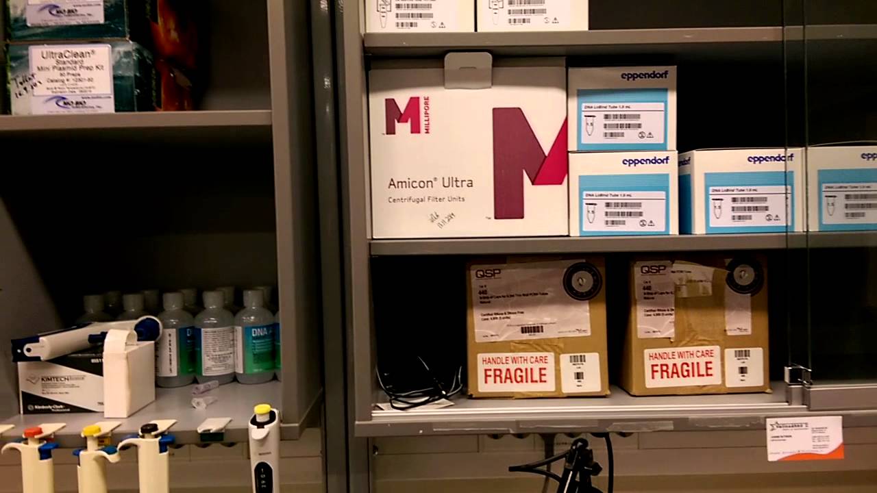 DNA Sequencing and Genomics lab at Institute of Biotechnology - YouTube