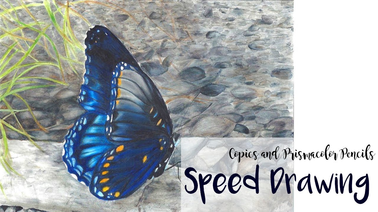 Butterfly Speed Drawing by Brittany's Art Vibes Red Spotted Purple ...