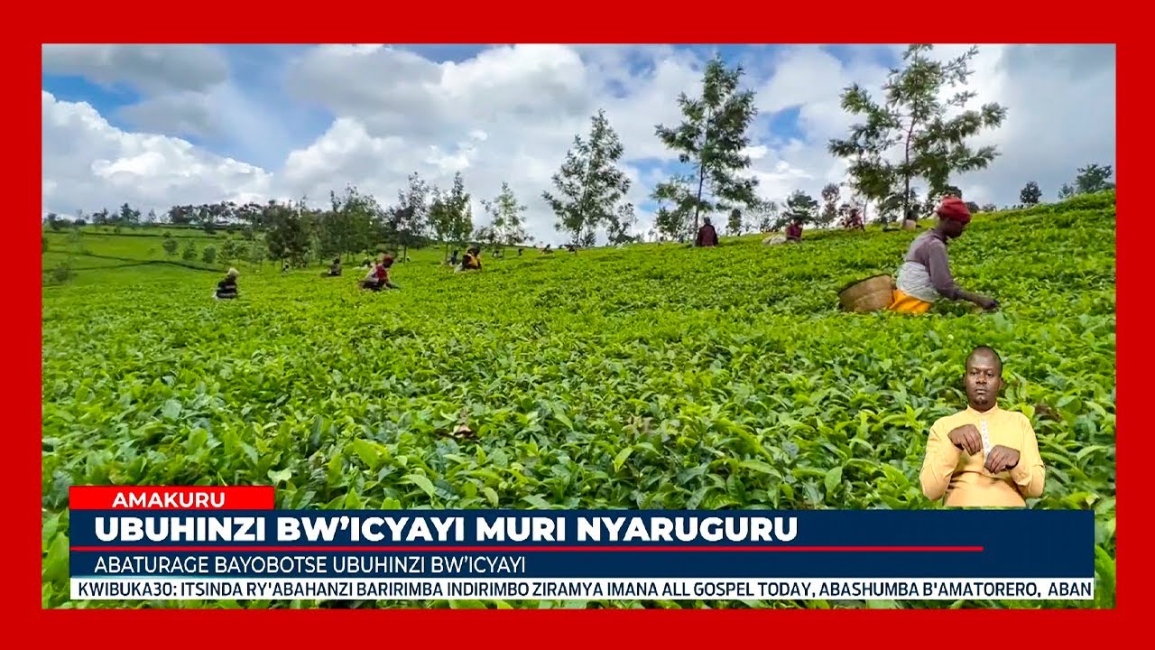 Nyaruguru: Abayobotse ubuhinzi bw’icyayi bwababereye imbarutso yo ...