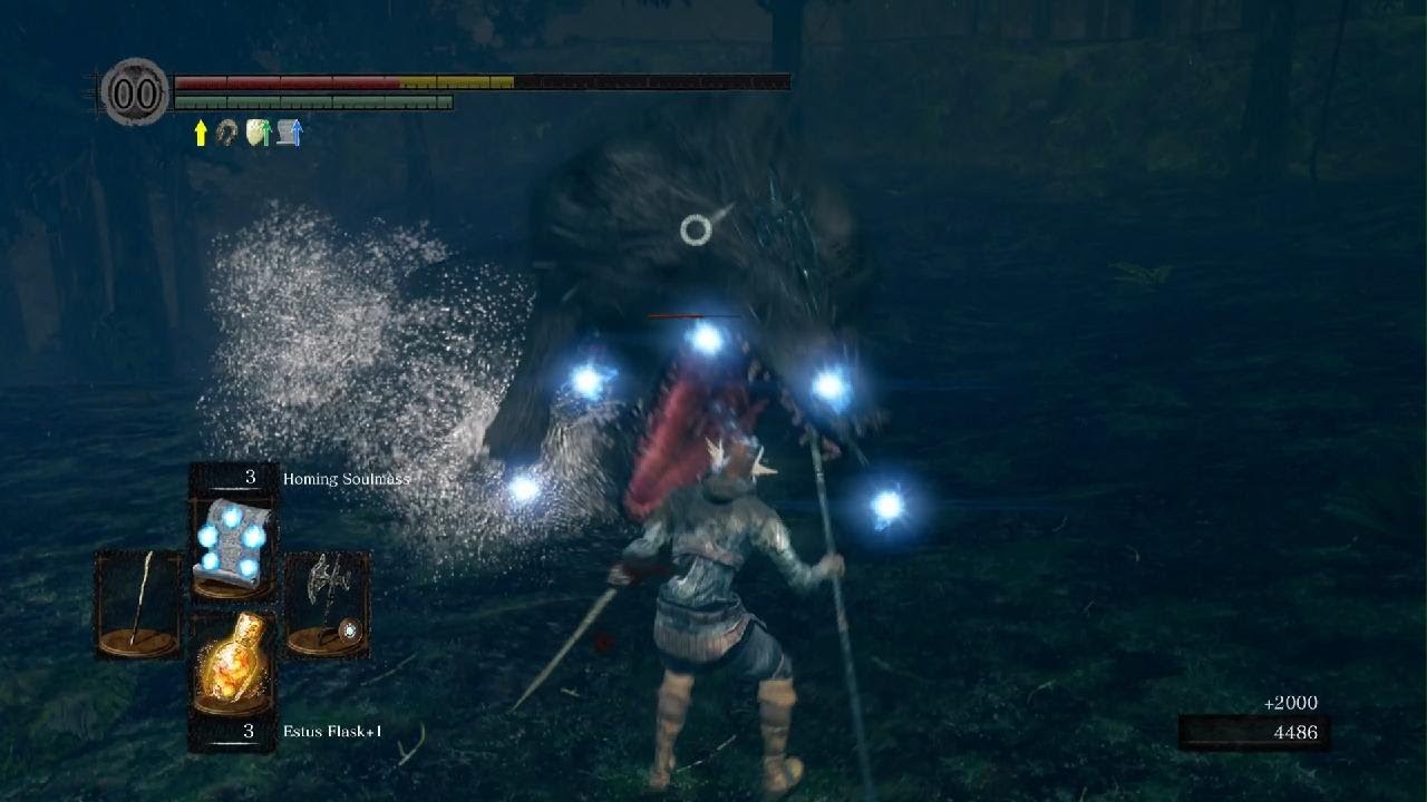 DS1 Some spicy Soulmass for Darkroot Cats, then Thank You Dark Souls ...