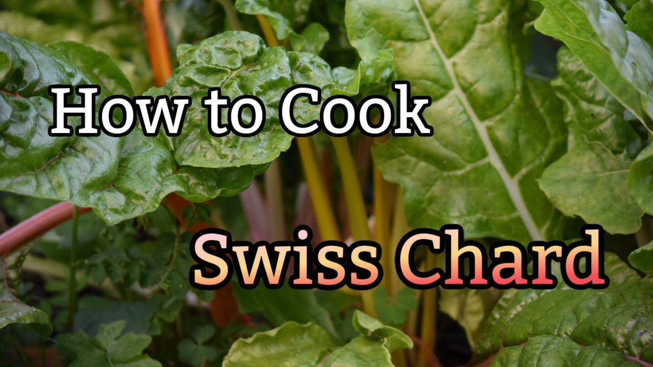 How to Cook Swiss Chard | Tender and Buttery | Southern Latitudes - YouTube