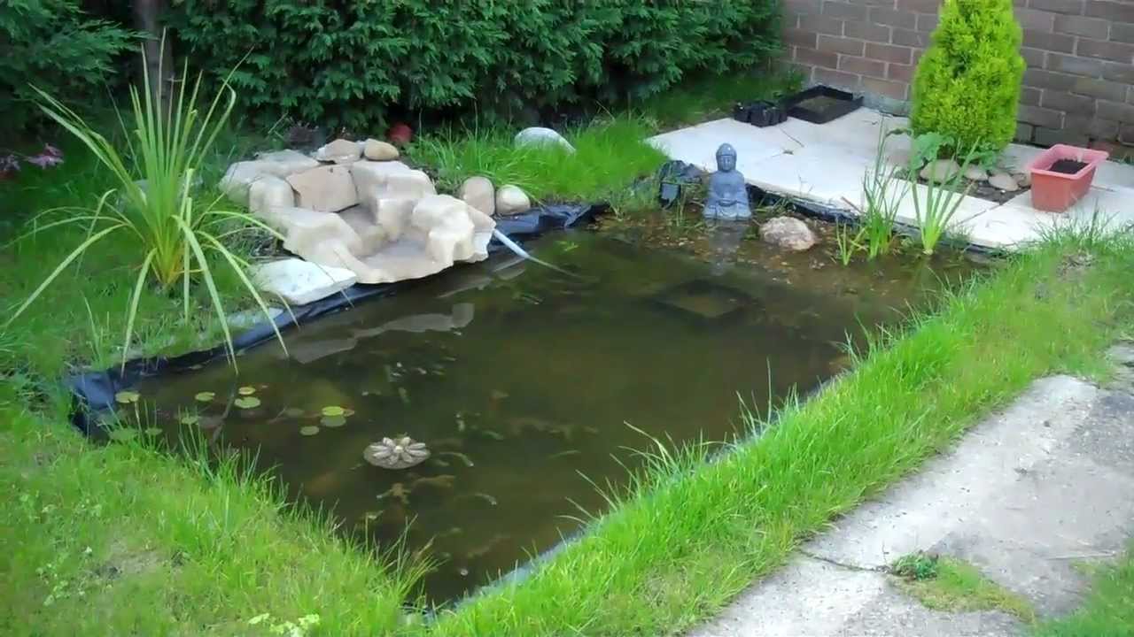 Pond Update Youtube 5034