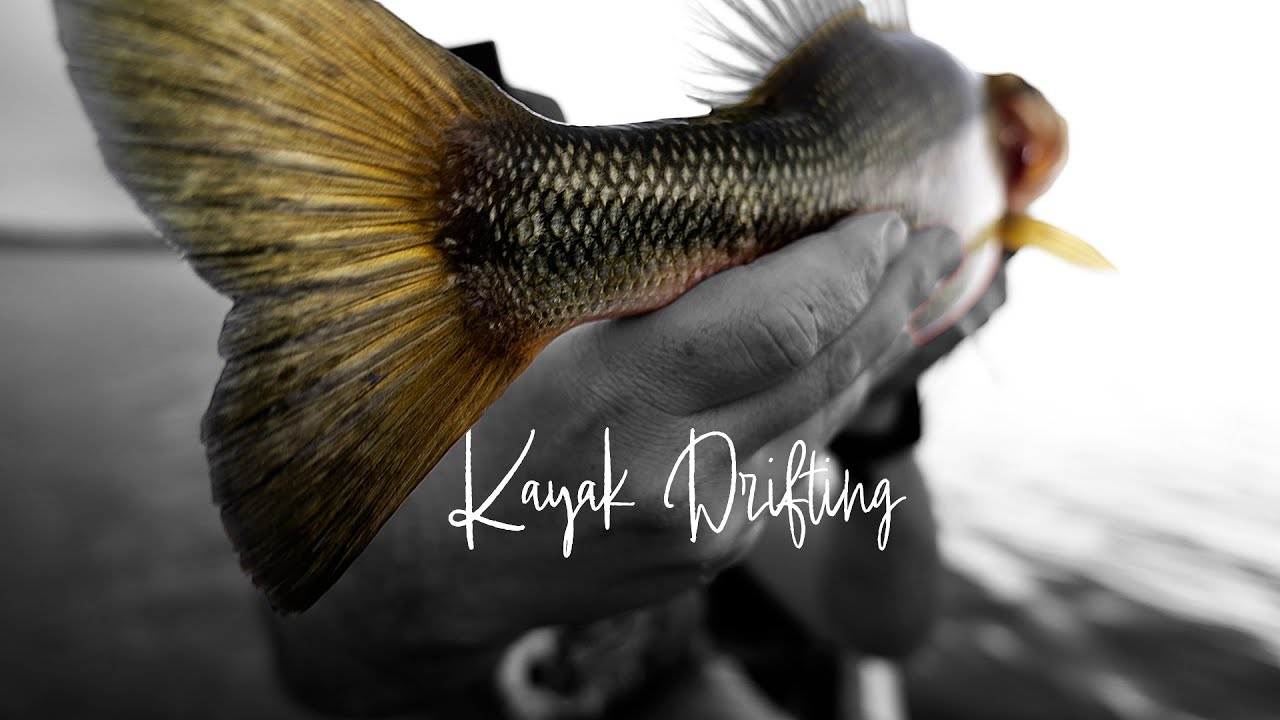Kayak Drifting for Big Bass - YouTube