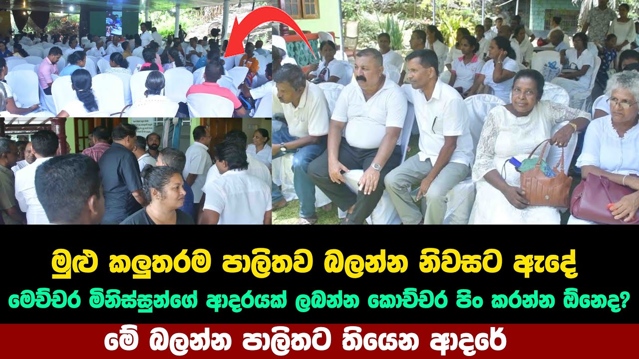 මුළු කලුතරම පාලිතව බලන්න නිවසට ඇදේ මේ බලන්න පාලිතට තියෙන ආදරේ | palitha ...
