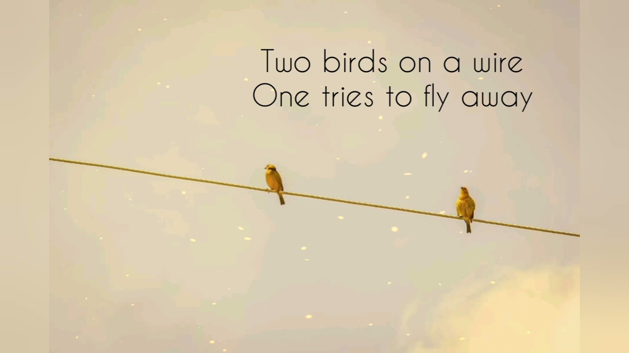 Regina Spektor Two Birds Lyrics Youtube