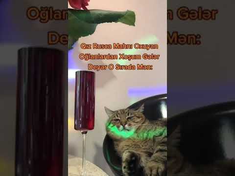 😂❤️ Whatsapp və Instagram üçün gülmeli videolar en yeni durum. sounds app yazılı qız görəndə dostum