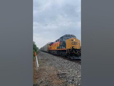CSX 1973 Chessie System on M216-29 AutoRack Train from Sterling, Ohio 7/1/2023 - YouTube