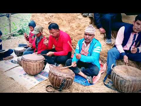 1 year old #Damaha #Rukumkot #visitnepal2022#culturalmusicalinstrument# ...
