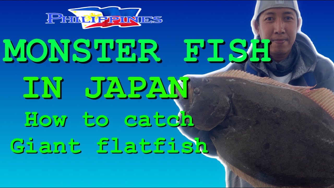 HOW TO CATCH FLOUNDER FISH USING LIVE BAIT - YouTube
