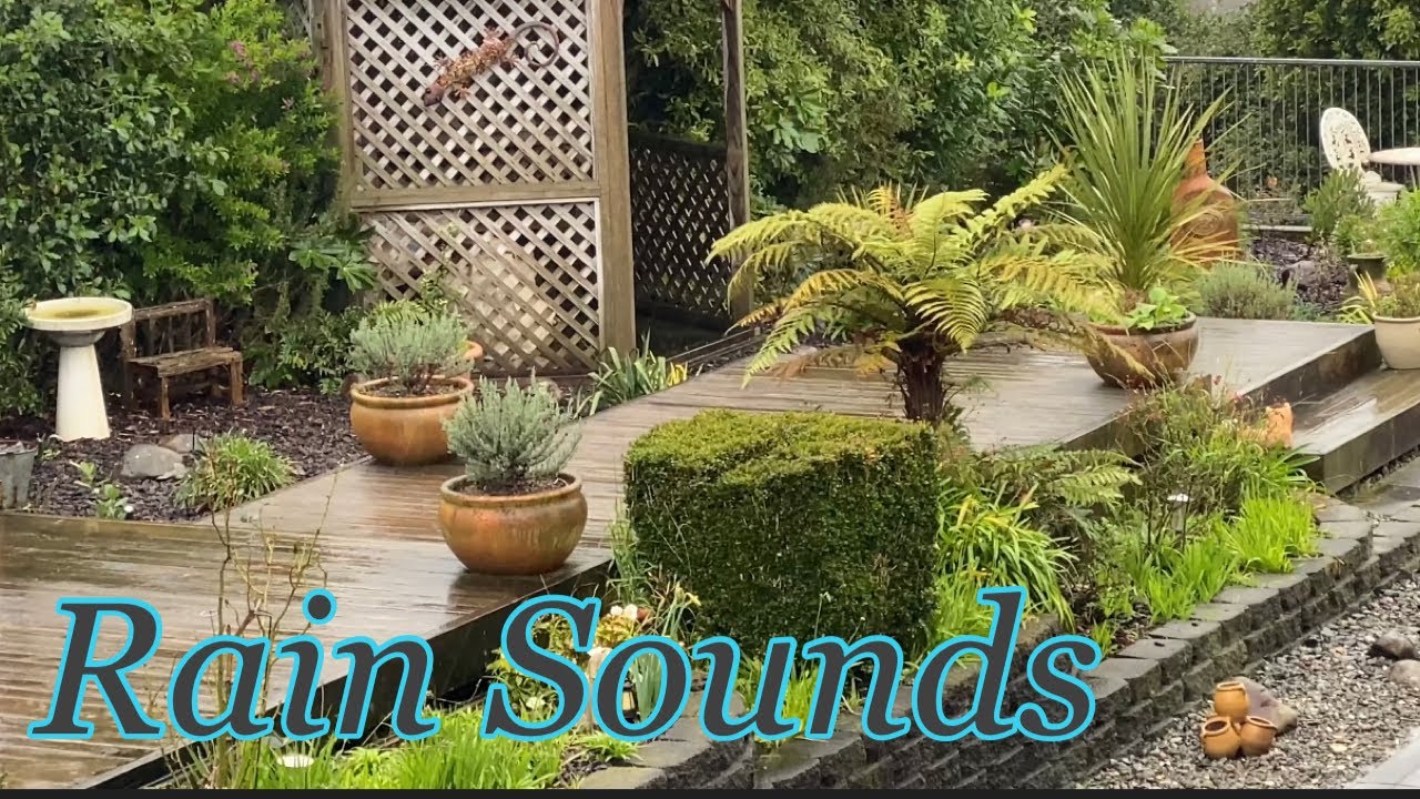 Soft Rain sounds for soothing relaxing calm - YouTube