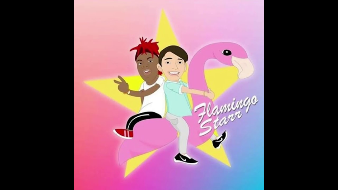 Flamingo Star - YouTube