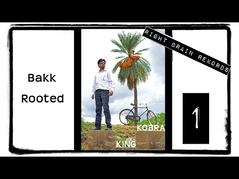 Right Brain Rekords 1 - Bakk Rooted | Soulful Hip Hop, Non Copyrighted Music 2021