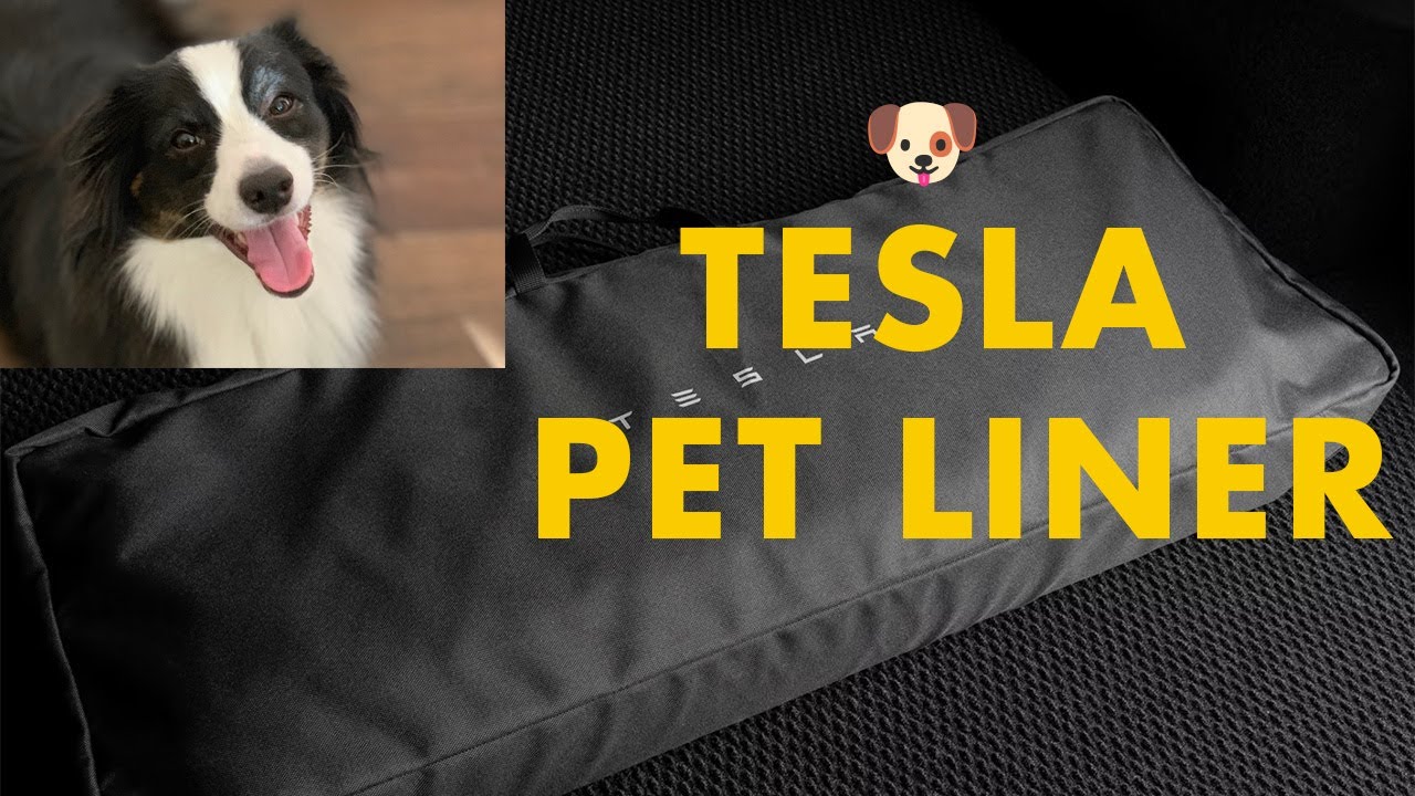 Tesla Model S/3/Y Pet Liner 🐶 #tesla #modely - YouTube