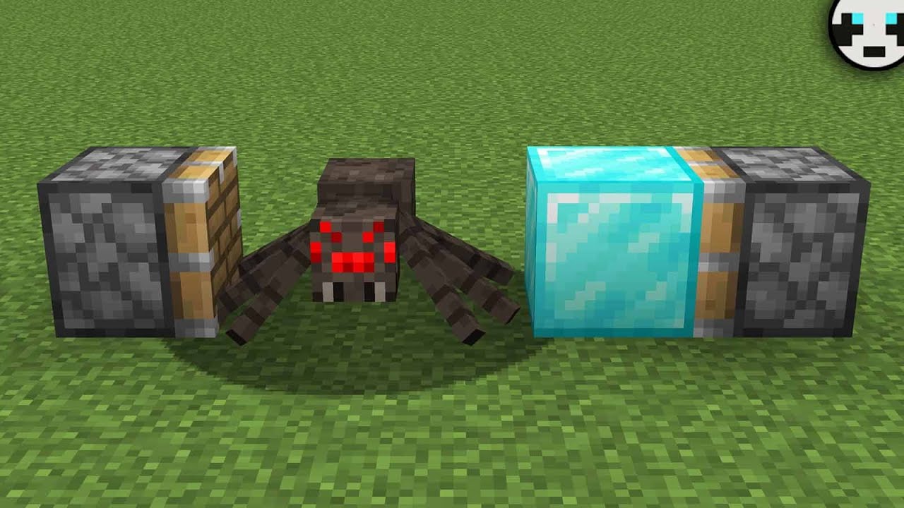 Spider + Block of Diamond = ??? - YouTube