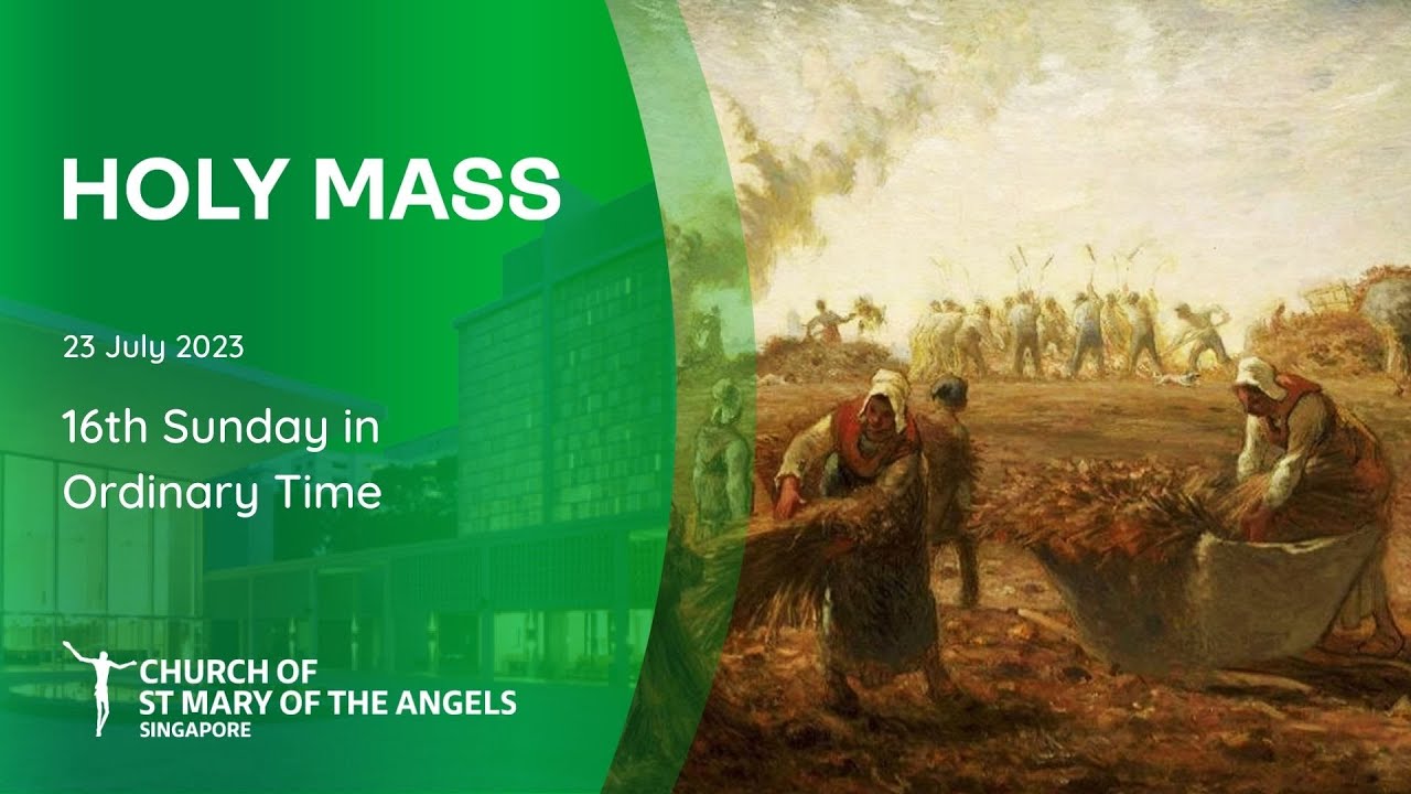 Holy Catholic Mass - 16th Sunday in Ordinary Time - 23 July 2023 - YouTube