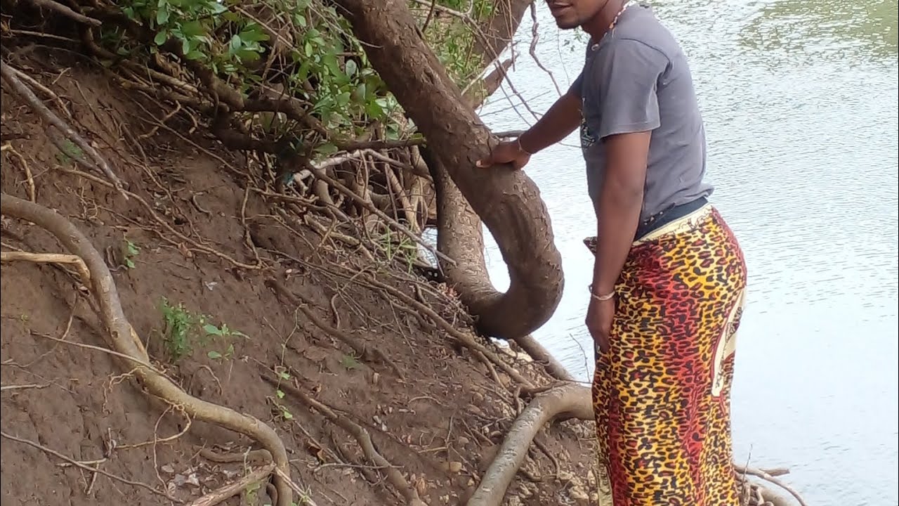 Dr Spikili uthi unamandla kakhulu umuthi olandwa ngasemfuleni - YouTube