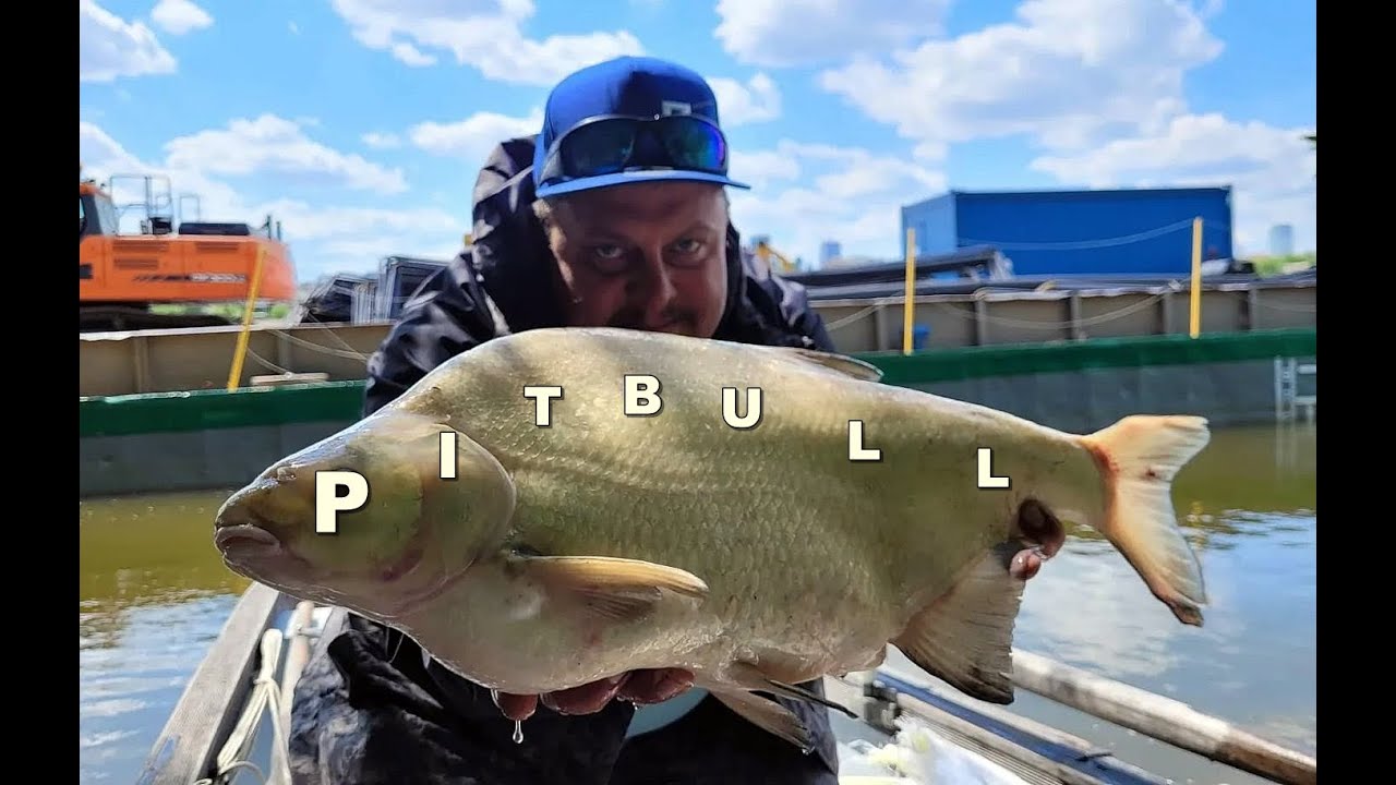 DEEPER TEST I WIŚLANE GRUBE LESZCZE - YouTube