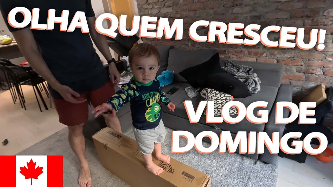 VLOG de domingo! Móvel novo pra casa, Erico gigante e a saga do ar ...