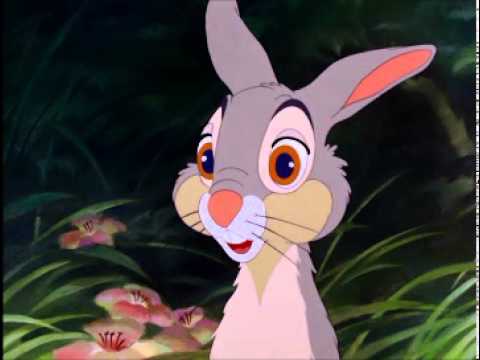 Bambi: l'incontro di Tamburino
