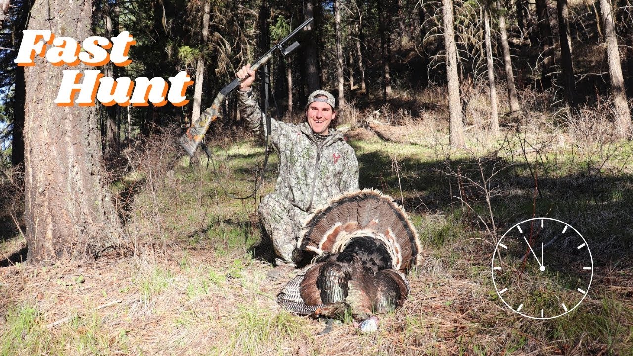 3 Minute Turkey Hunt - YouTube