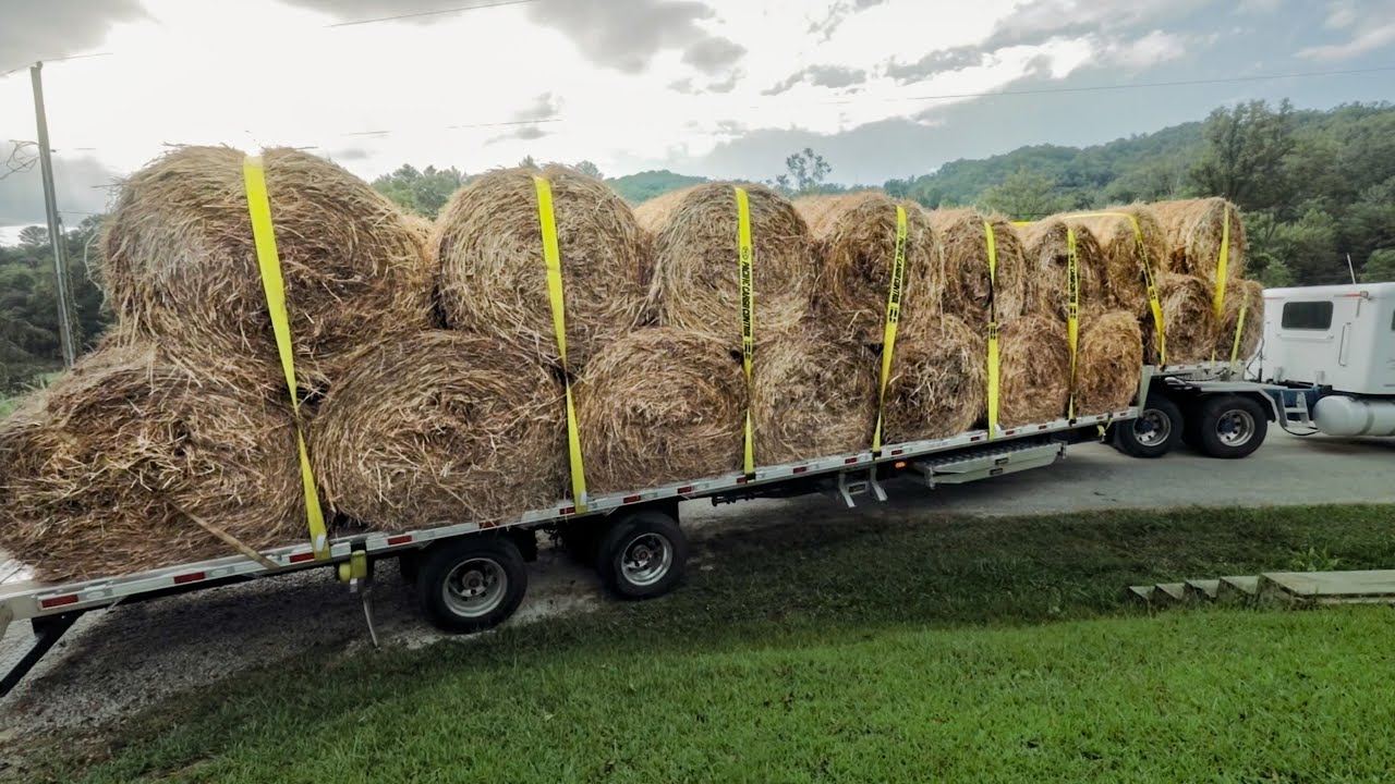 Winter Food Security for the Animals - YouTube