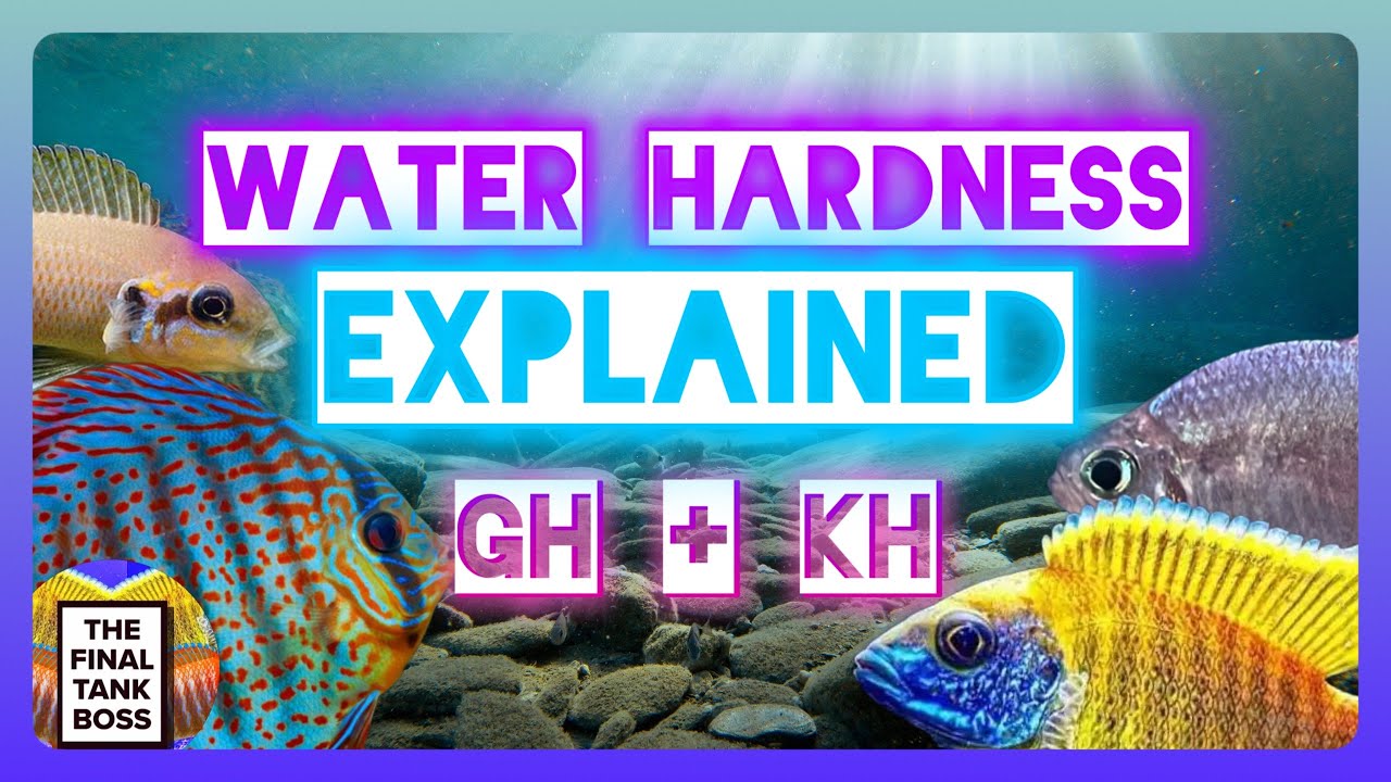 Understanding Water Hardness: A Guide to GH and KH - YouTube