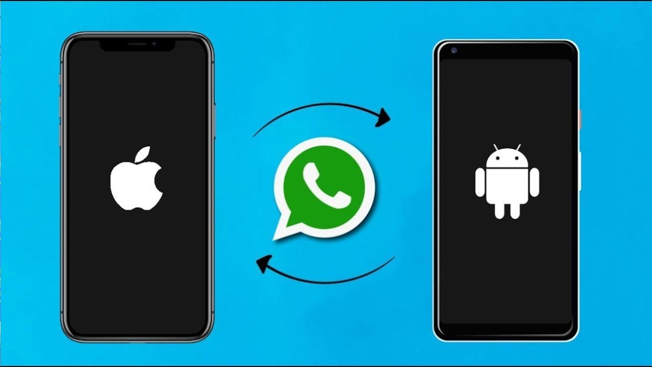 Comment Transf rer Whatsapp IPhone Vers Android YouTube comment-transf-rer-whatsapp-iphone-vers-android-youtube