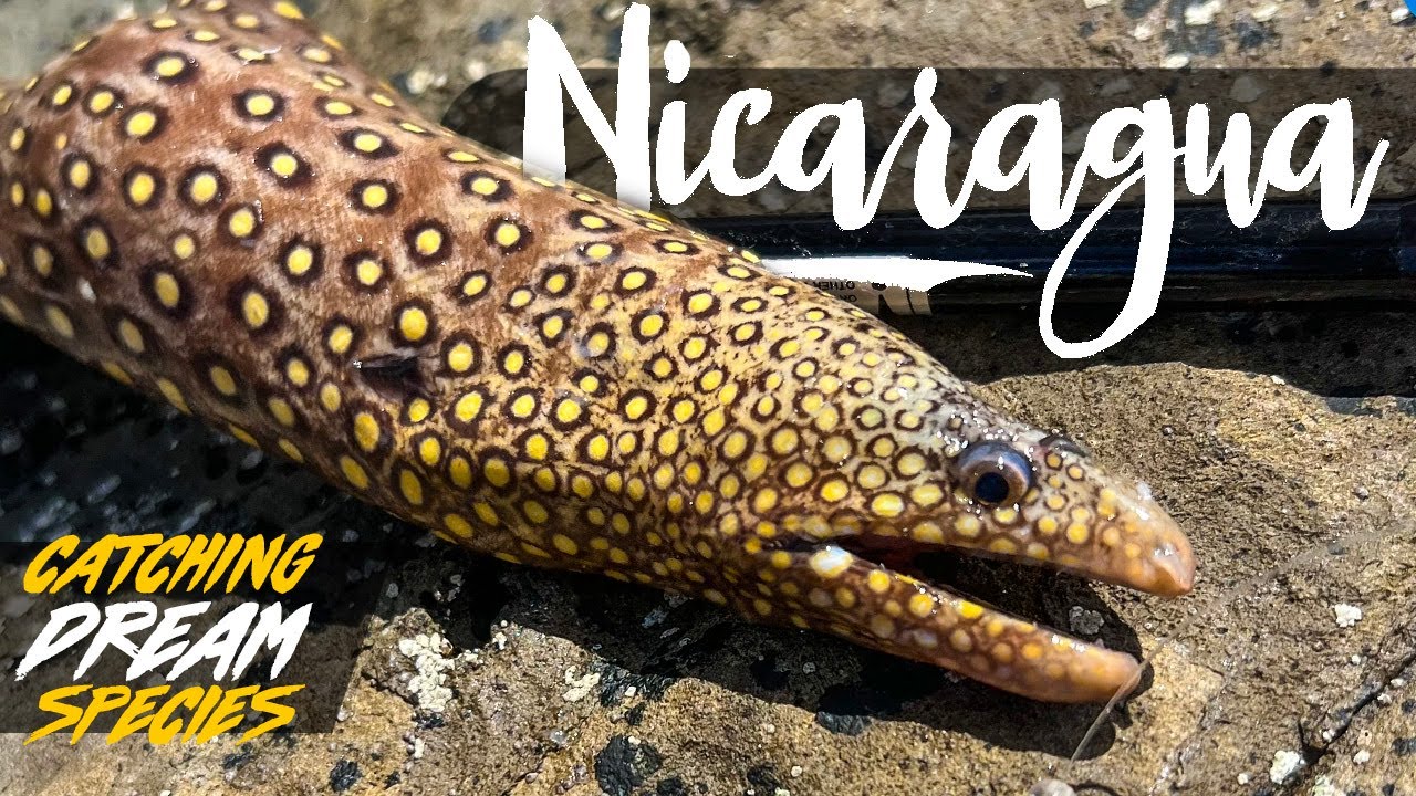 Fishing the Wild Pacific Ocean in Nicaragua. - YouTube
